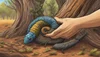 Exploring the Culinary Versatility of Witchetty Grub: Pairing Ideas and ...