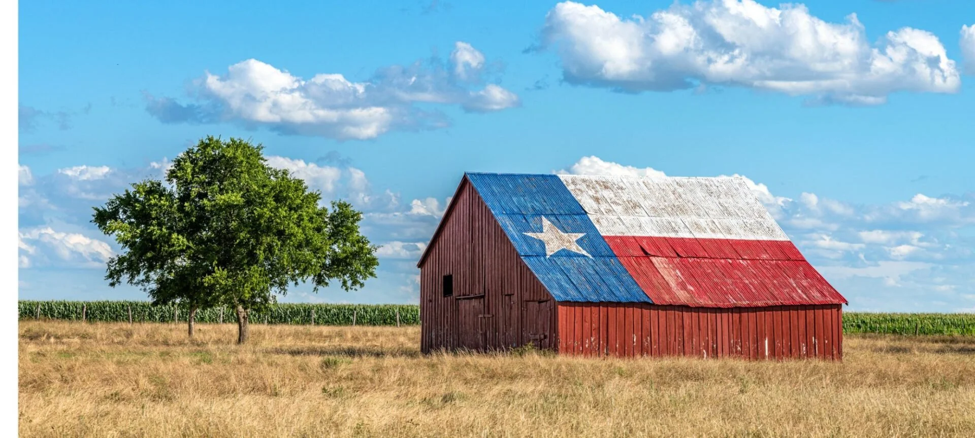 7 of the Best Family-Owned Farms Thriving in Texas