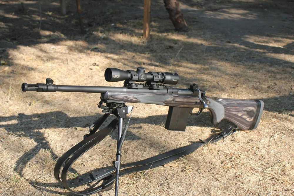 Best Guns for Hog Hunting in Texas | Top Picks & Expert Tips
