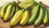 Mastering Ripeness: How to Tell if a Lady Finger Banana is Ripe