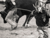 Discover the 10 Best Rodeos in Texas for an Unforgettable Cowboy Adventure