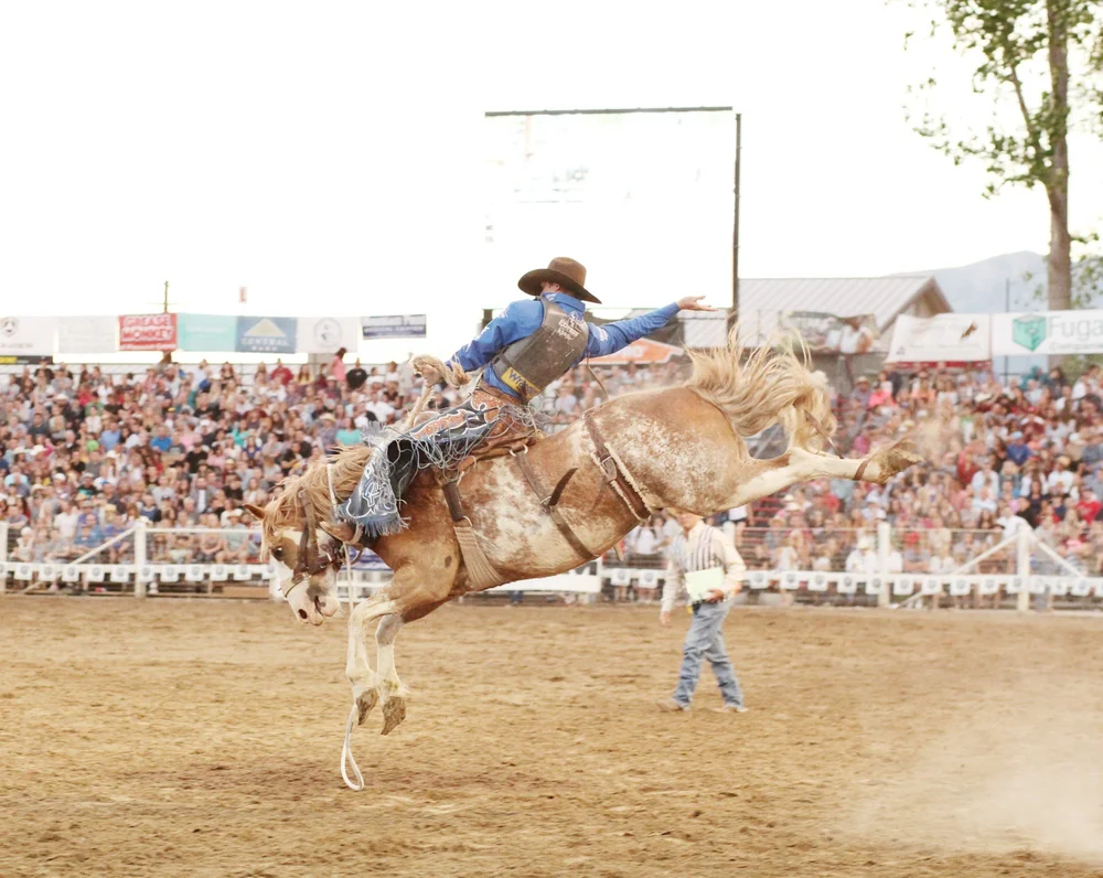 Discover the 10 Best Rodeos in Texas for an Unforgettable Cowboy Adventure