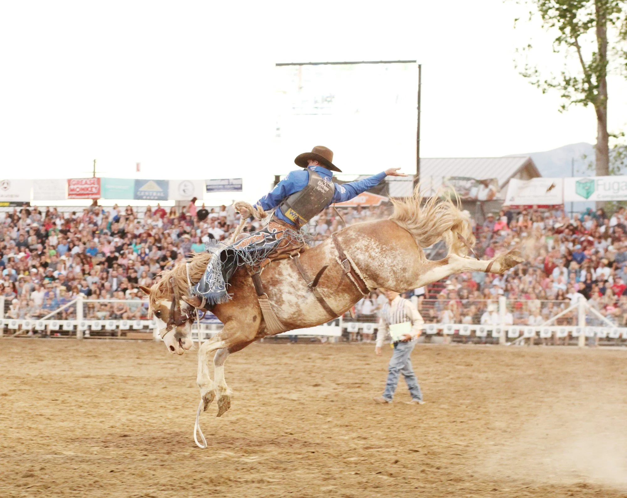 Discover the 10 Best Rodeos in Texas for an Unforgettable Cowboy Adventure