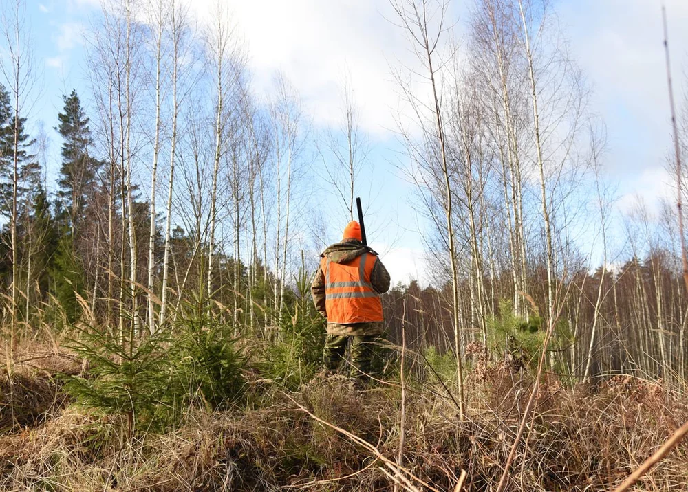 How to Get a Texas Hunting License for Non-Residents | TPWD