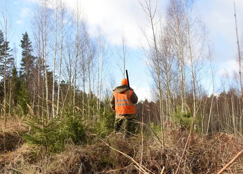 How to Get a Texas Hunting License for Non-Residents | TPWD