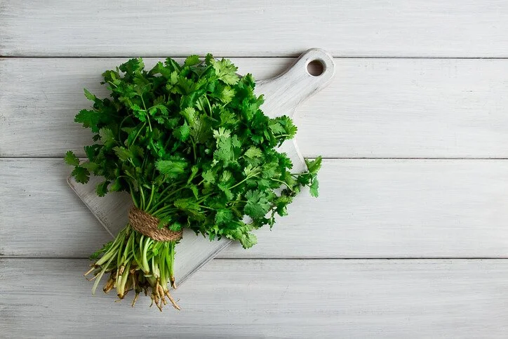 A Seasonal Guide on Cilantro and Coriander for Herb Lovers | Uncover ...