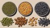 Top Foods High in Molybdenum: Essential Nutrients for Enzyme Function