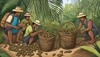 Palm Grubs: Exploring the Amazonian Jungle Delicacy