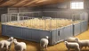 Mastering Lambing Season: The Ultimate Guide to Setting Up a Lambing Pen