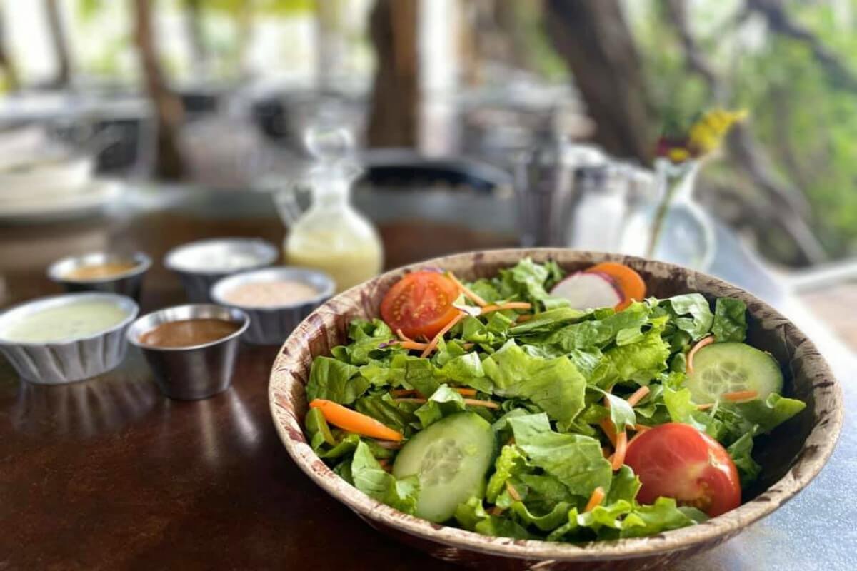 Best Farm-To-Table Restaurants In Dallas, Texas | A Guide to Supporting ...