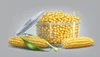 Cooking Sweet Corn: Perfect Methods for Delicious, Tender Results