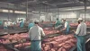Beef Cattle Processing and Butchering Options: Exploring Methods and ...