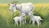 Understanding Goat Lactation: Duration and Factors Affecting Milk Production