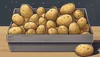 How Long Do Instant Potatoes Last? Your Complete Guide to Instant ...