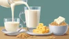 Top Foods High in Lactose: Understanding Sources and Dietary Impact