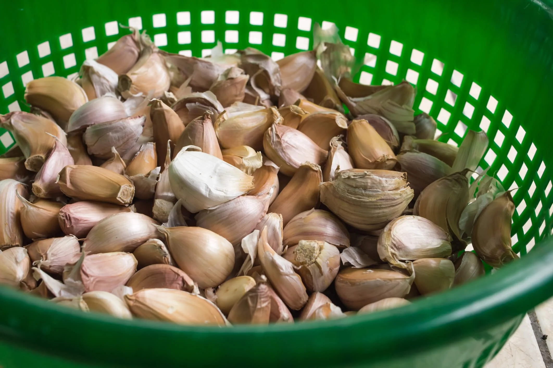 How to Grow Garlic for Your Edible Home Garden