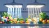 The Impact of Light Exposure on Food Shelf Life and Quality: Key ...