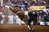 Discover the 10 Best Rodeos in Texas for an Unforgettable Cowboy Adventure