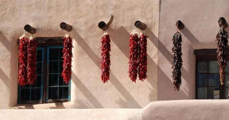 Mastering Sun Drying Techniques for Preserving and Enhancing Food