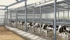 Optimizing Calf Rearing: Best Practices and Essential Guidelines