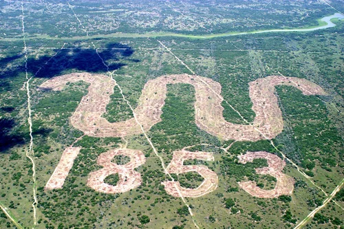 King Ranch: A Legendary Legacy of Texas Ranching History