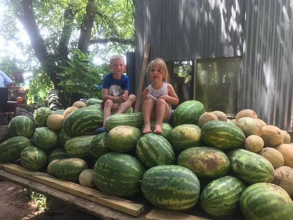 7 of the Best Family-Owned Farms Thriving in Texas