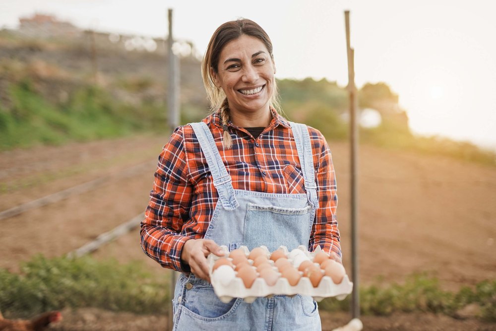 Guide to Selling Eggs at the Farmers Market