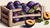 Plum Ripeness Guide: Tips for Identifying Ripe Plums