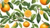 Mastering Ripeness: How to Tell If an Orange Is Ripe