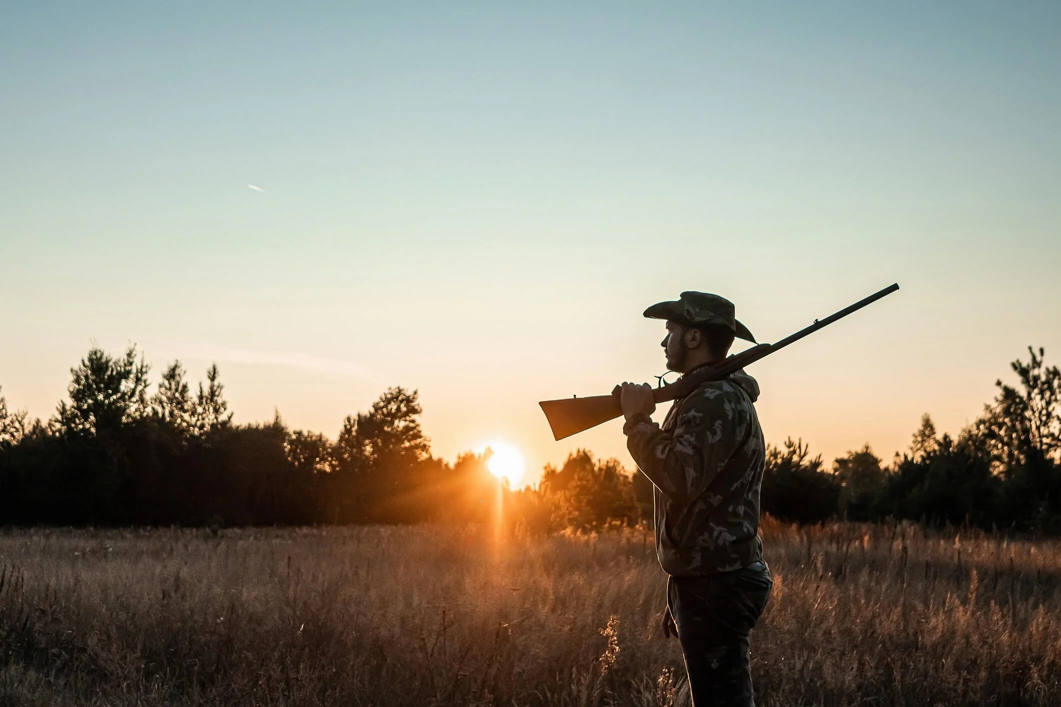 Navigating the Wild: Comprehensive Guide to Texas Wild Game Seasons