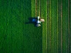 Most Profitable Crops in Texas and Beyond