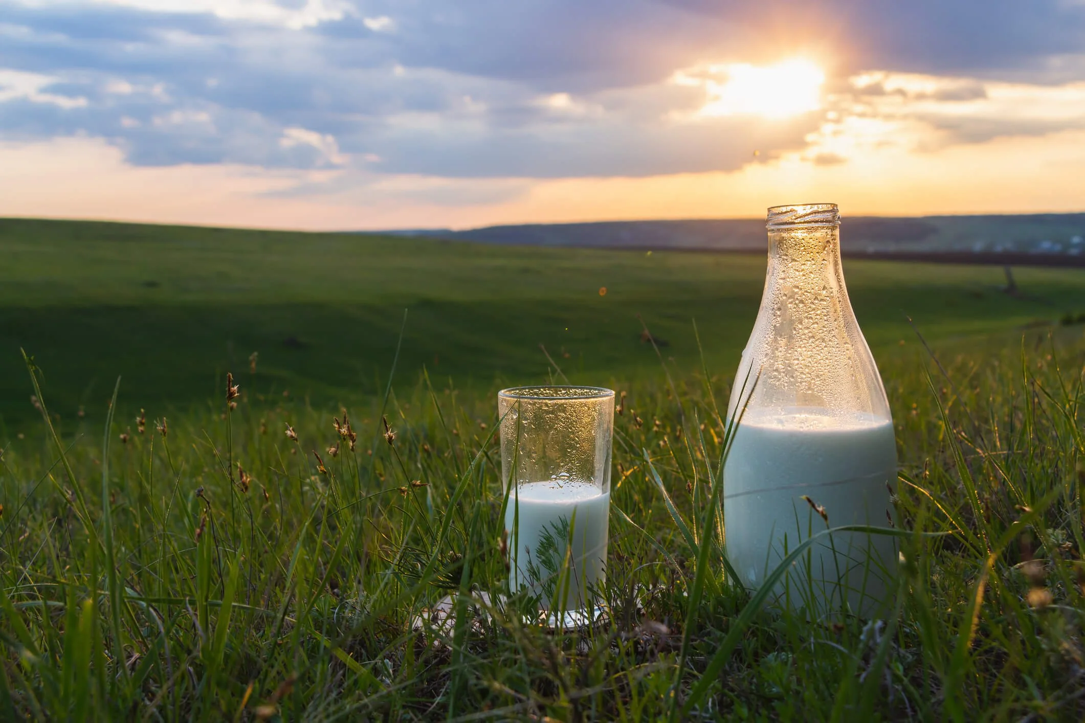 Is Raw Milk Safe? Exploring the Facts and Considerations