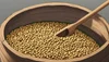 Fermenting Soy Sauce: A Step-by-Step Guide to Homemade Soy Sauce