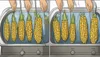 How Many Servings of Corn Per Day Is Too Much? Understanding Safe ...