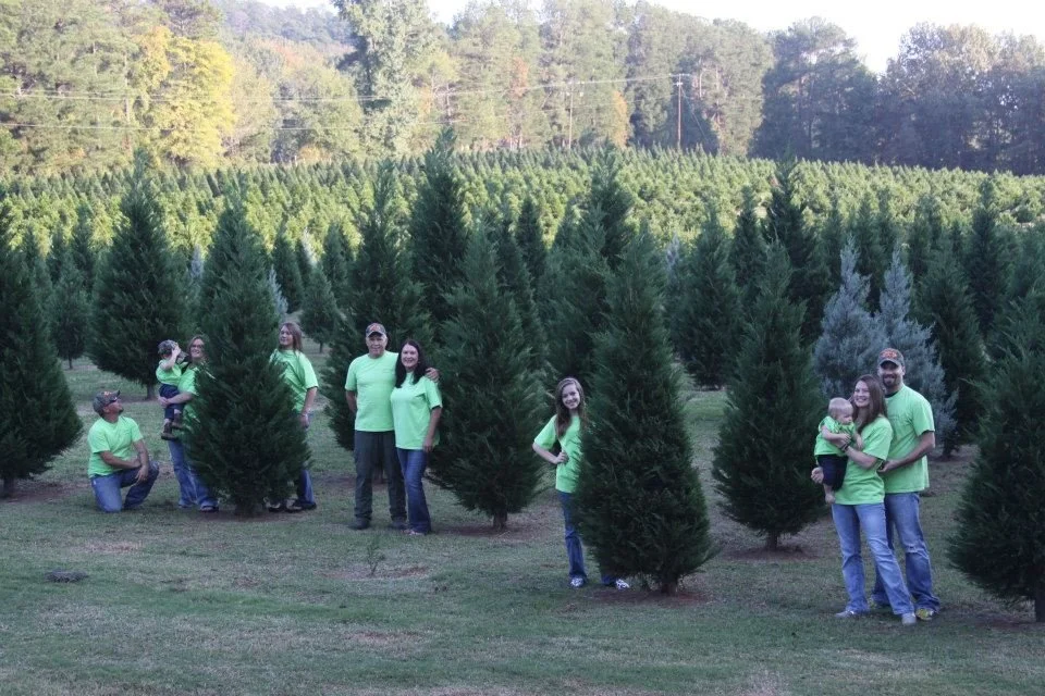 Updated 2023: Best Christmas Tree Farms in Texas | A Guide for the Holidays