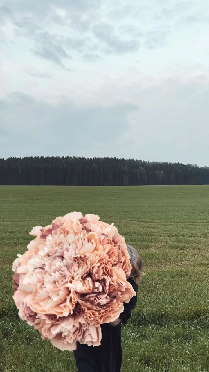 SOFIA VUSIR JANSSON