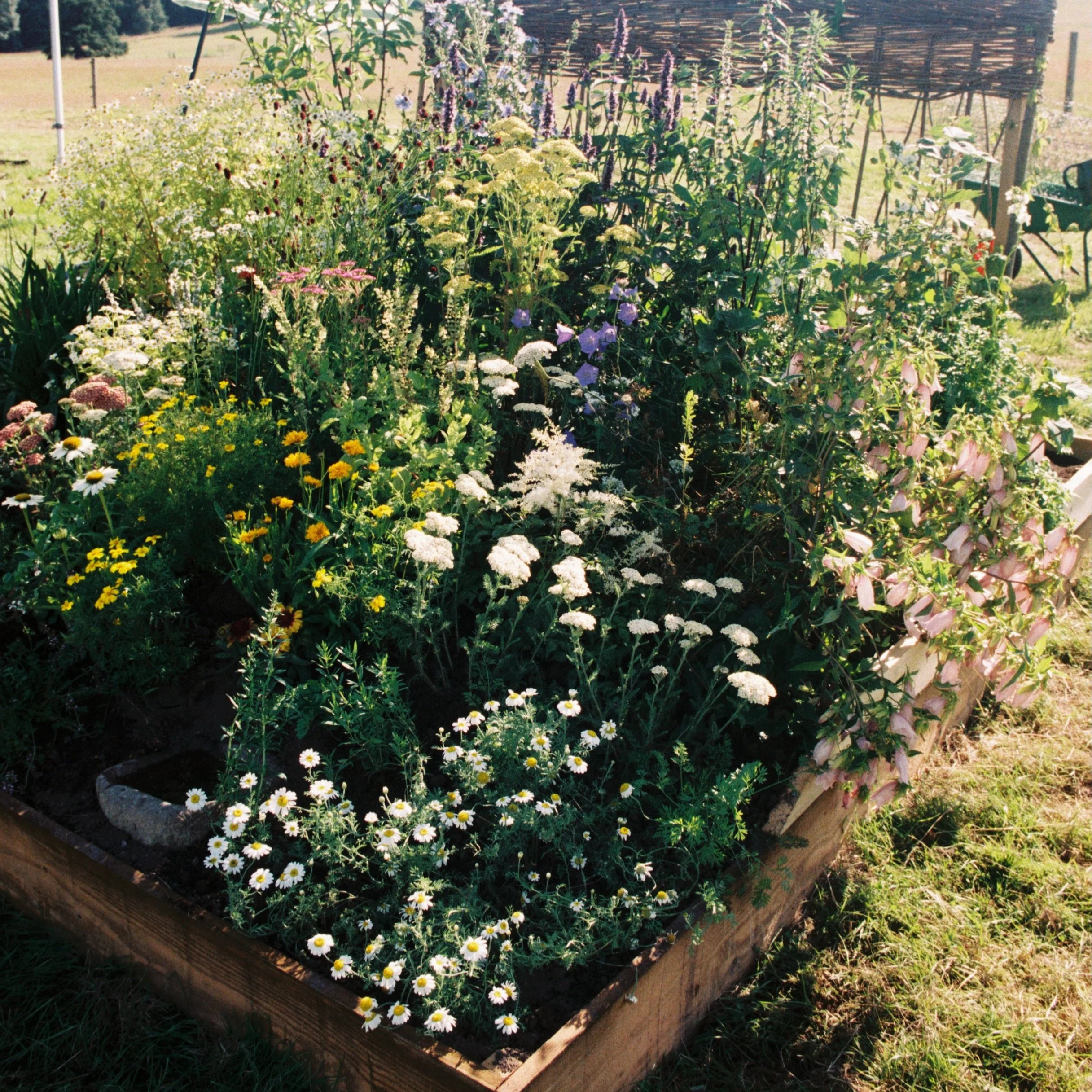 Show gardens — % eco friendly & sustainable garden designer in the Peak ...