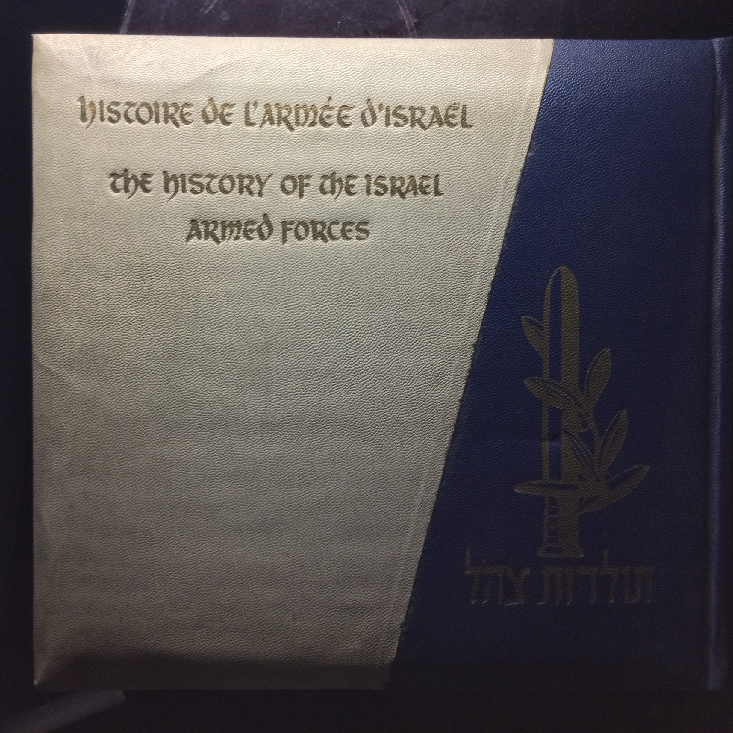 Time Frame AD 800-1000 | Fury of the Northmen ...