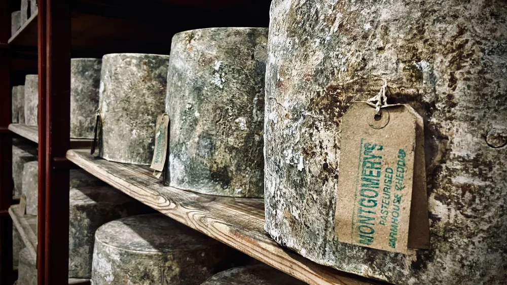The Cheese Connection, Cheese Shop In Bristol - Buy Cheese Online ...