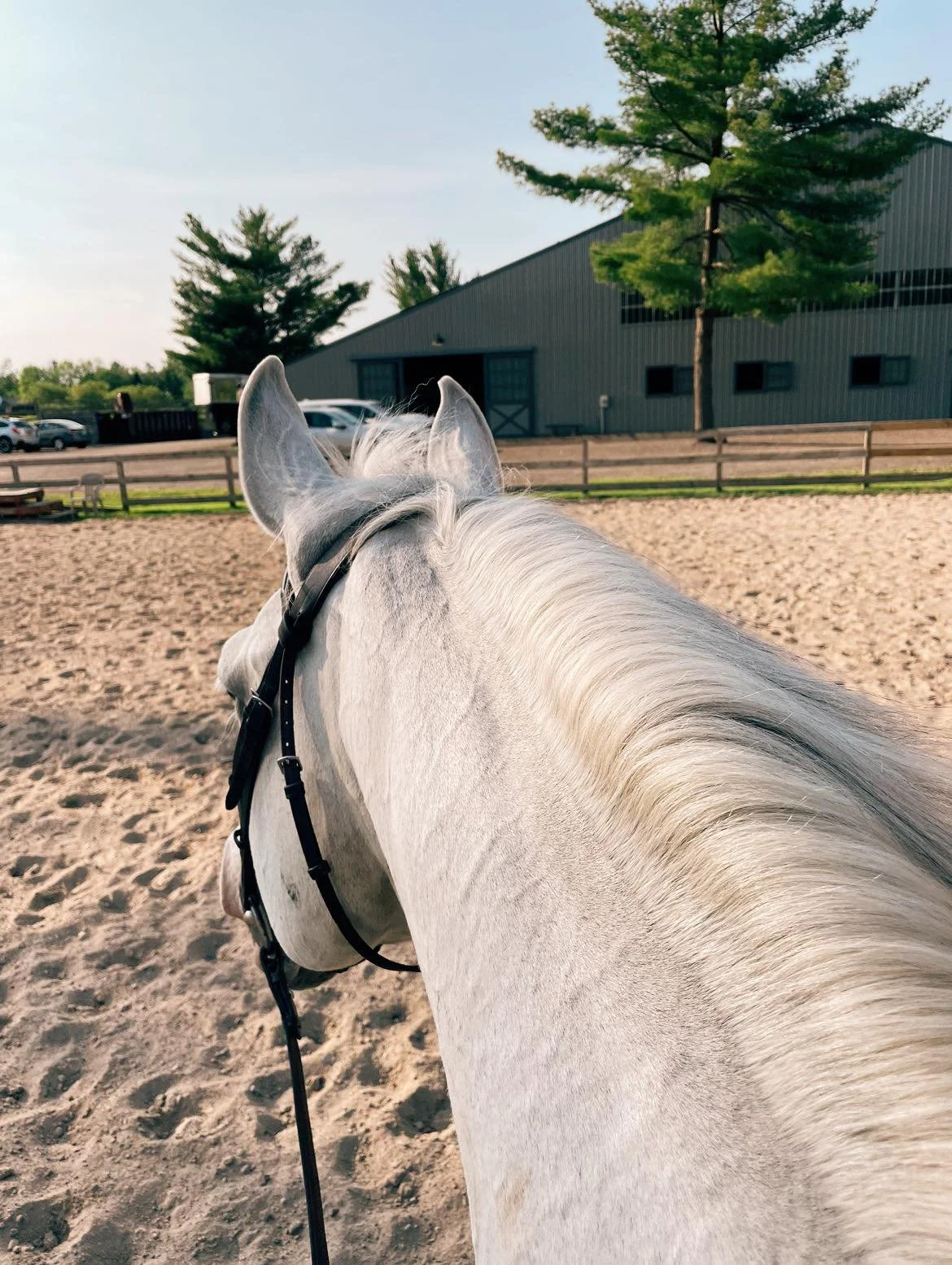 Services — Old Dalton Farm