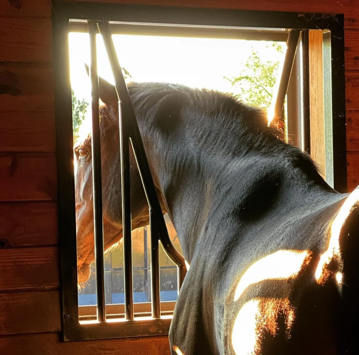 Services — Old Dalton Farm