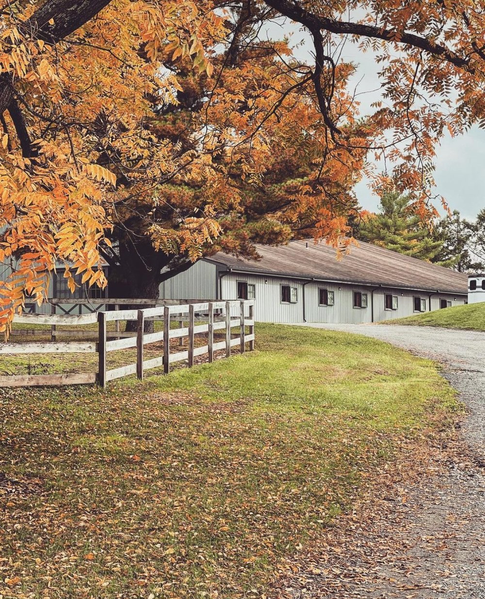 Services — Old Dalton Farm