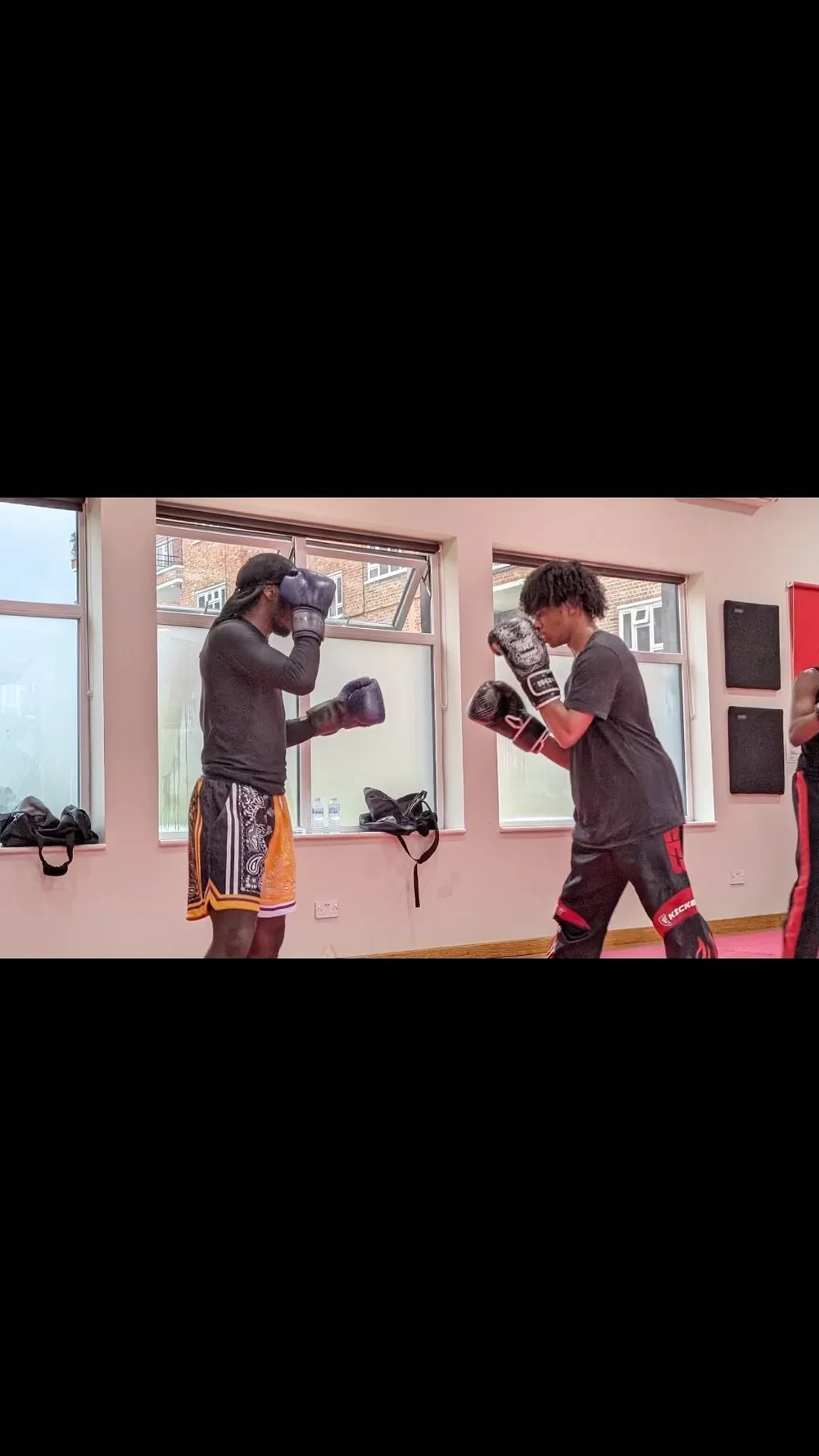 Sanda Kickboxing Academy