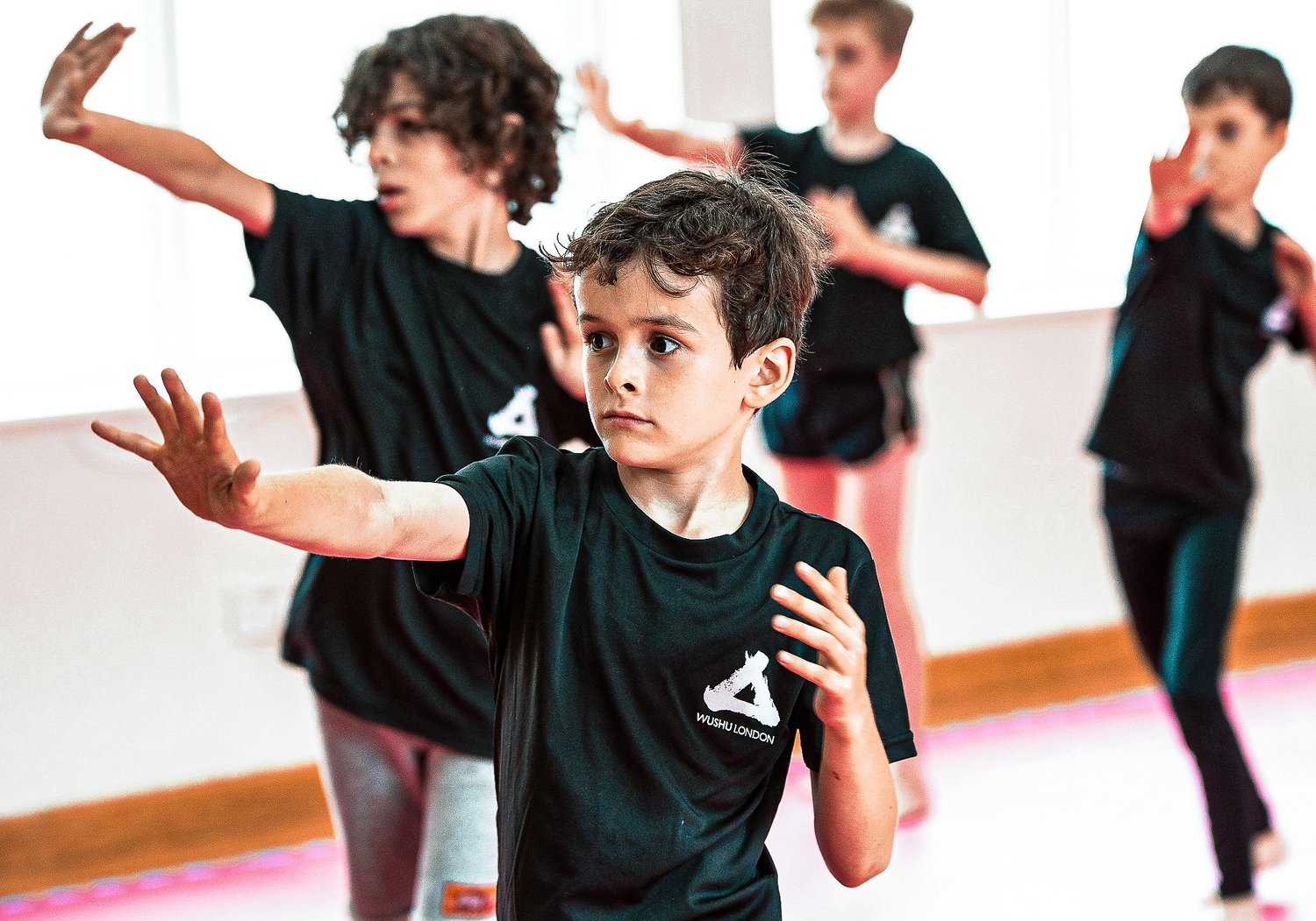 Sanda Kickboxing Academy