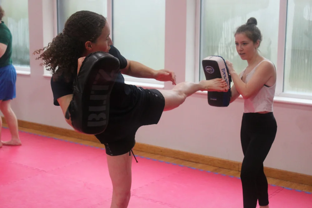 Sanda Kickboxing Academy