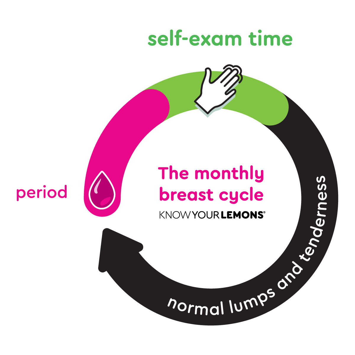 How to Self Exam — Know Your Lemons® for Early Detection