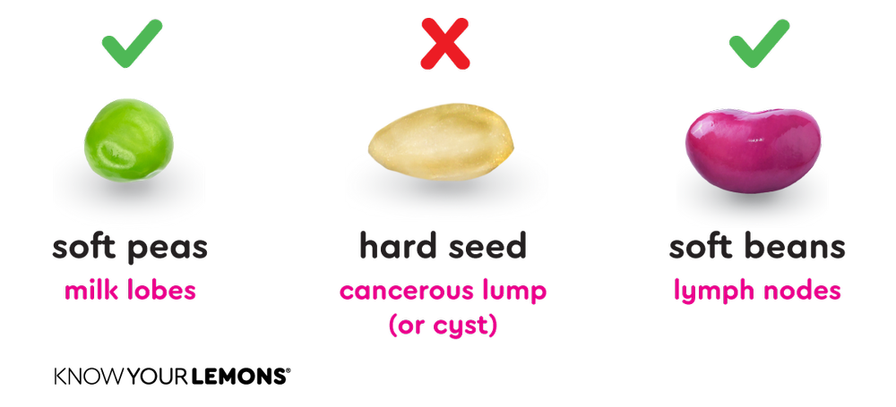 How to Self Exam — Know Your Lemons® for Early Detection