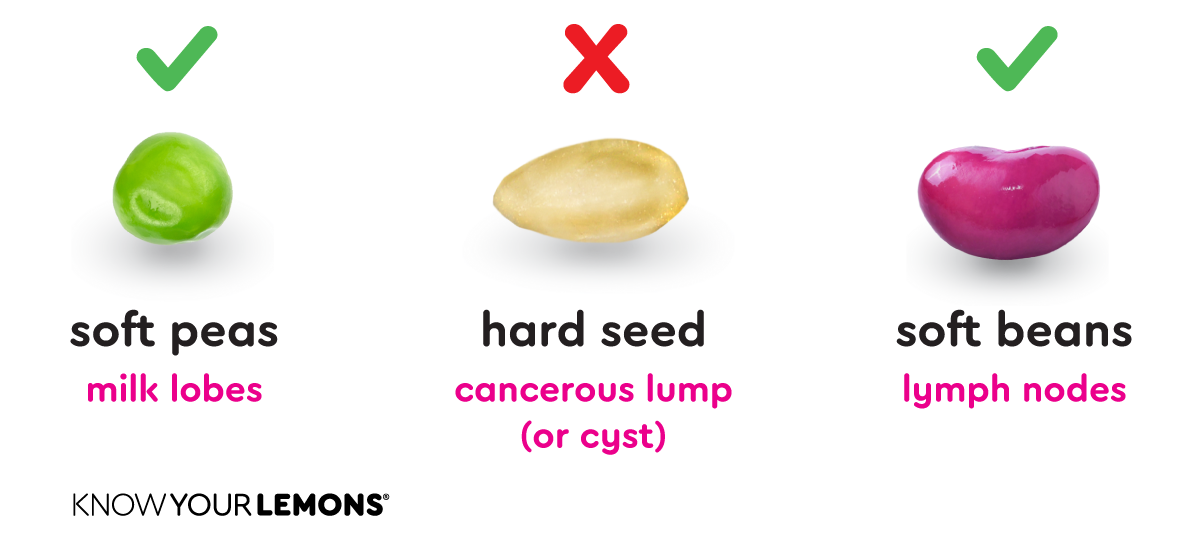 How to Self Exam — Know Your Lemons® for Early Detection