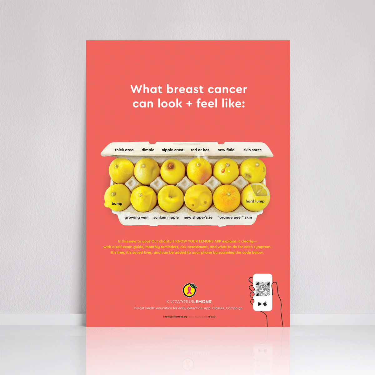 Know Your Lemons at Work — Know Your Lemons® for Early Detection