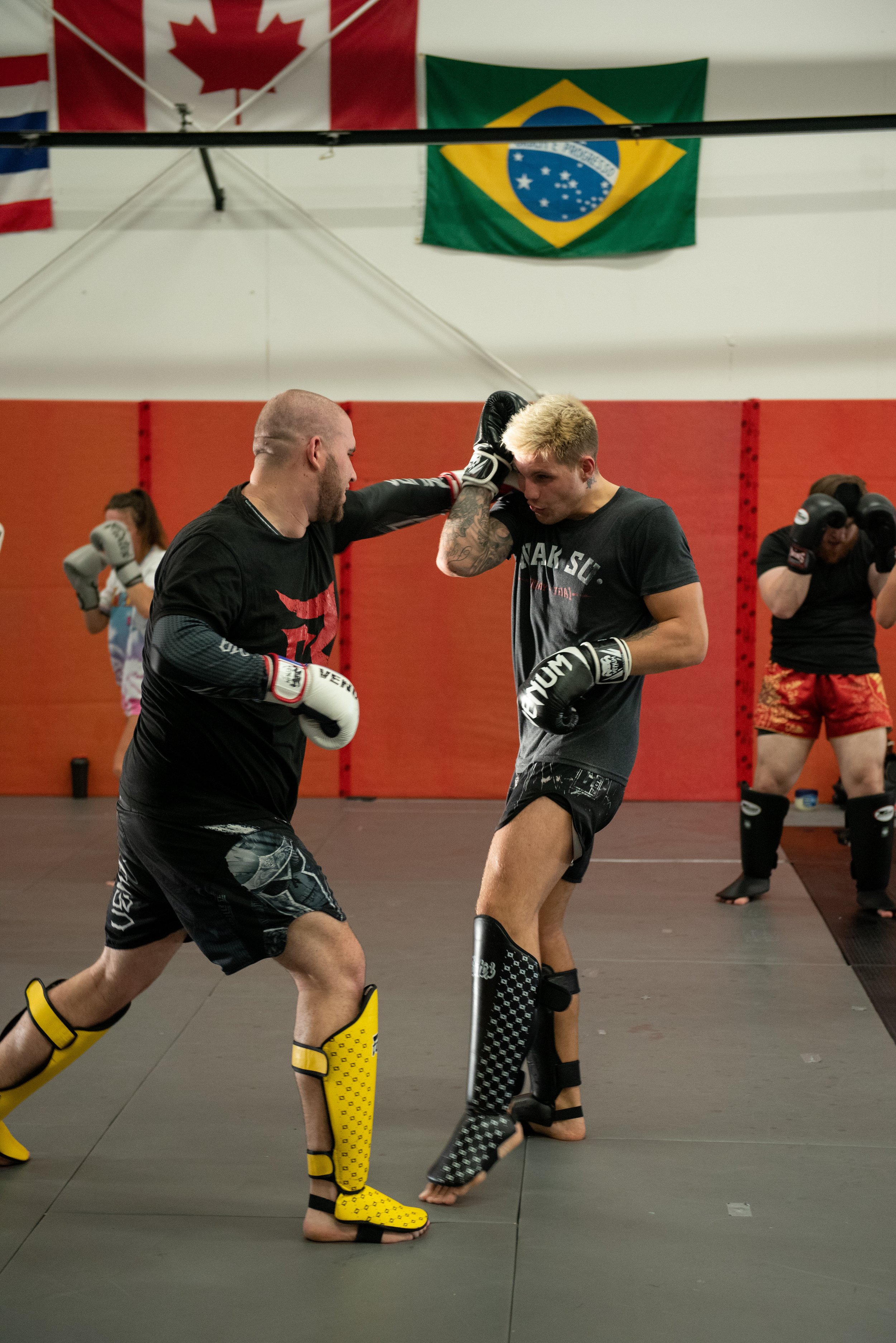 Adult Programs — Niagara Top Team